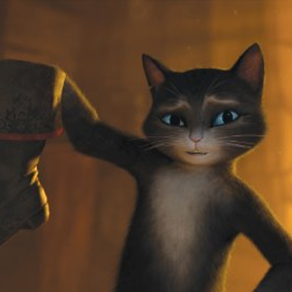 LE CHAT POTTÉ (2011) - Film - Cinoche.com